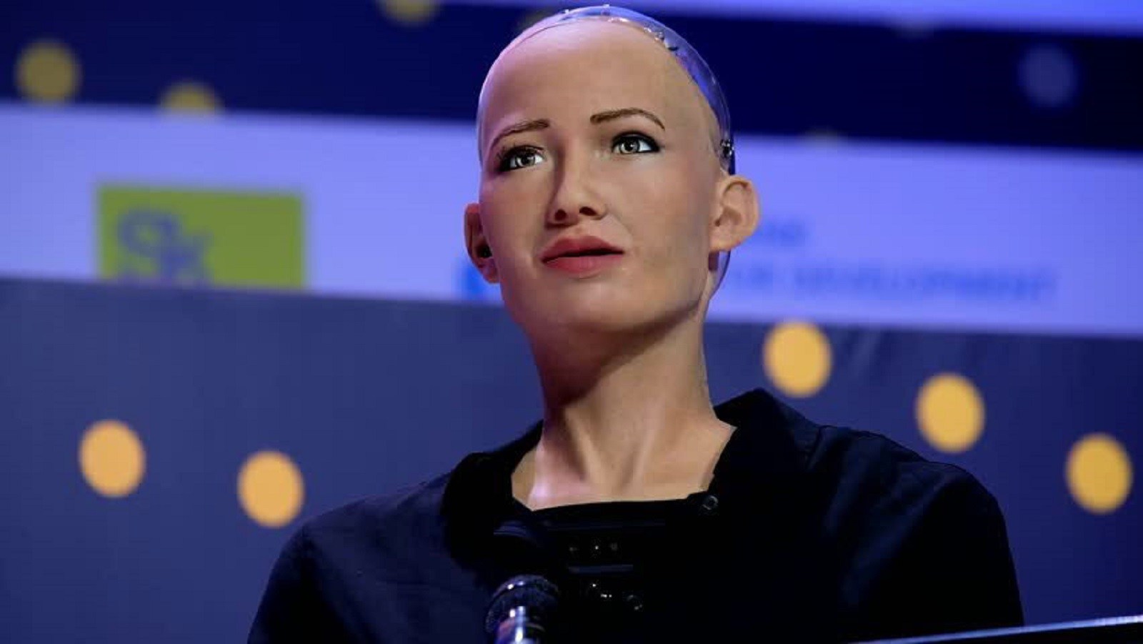 Sofía, el robot que debuta en la industria del arte subasta sus ...